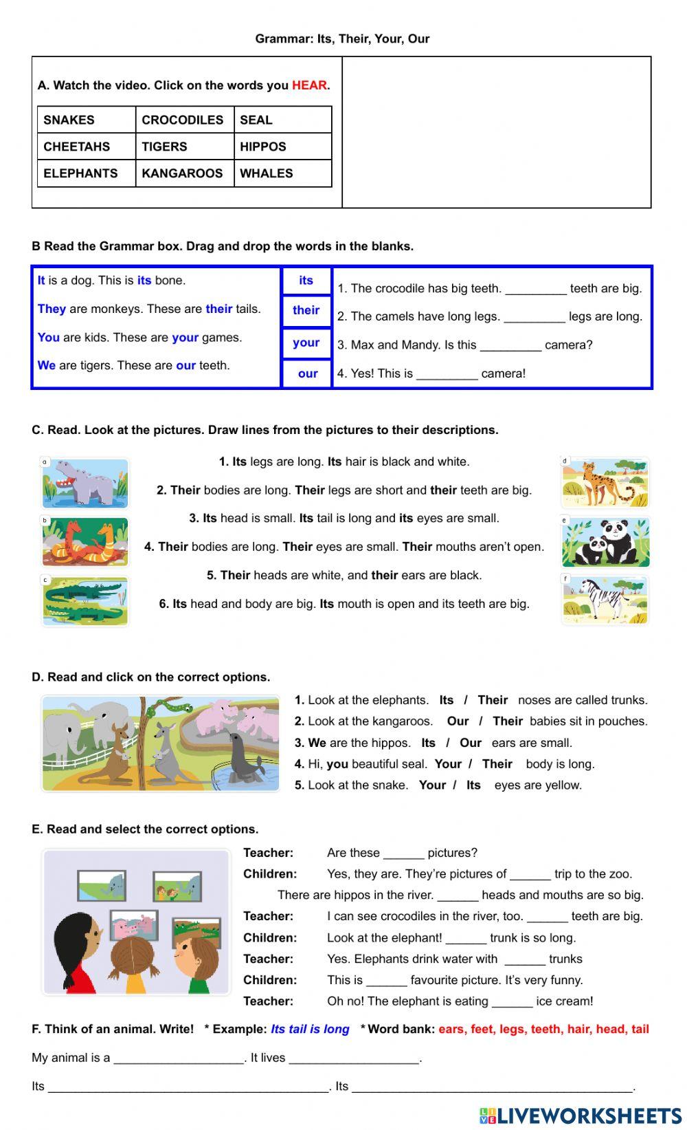 Grammar: Their, Our, Your, Its | LiveWorksheets