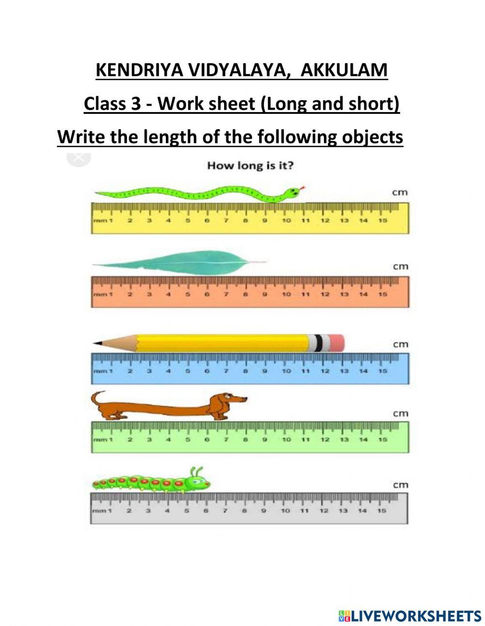worksheet of write the length of given objects class 3 long and short ...