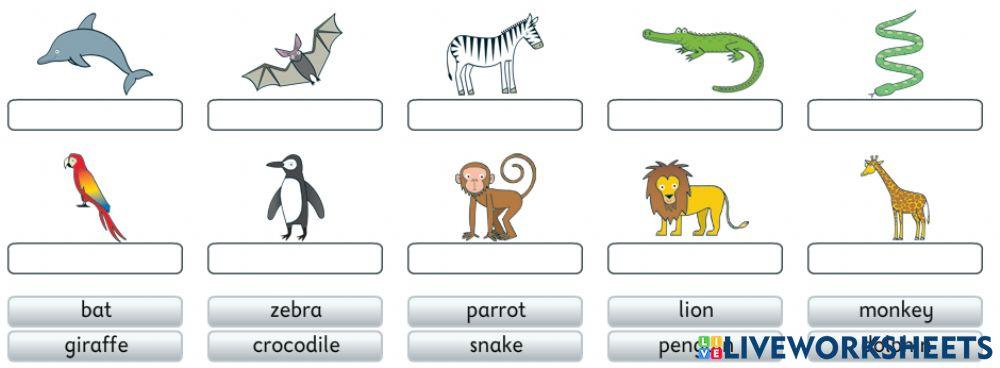 CP 3 - Unit 4 Animals worksheet | Live Worksheets