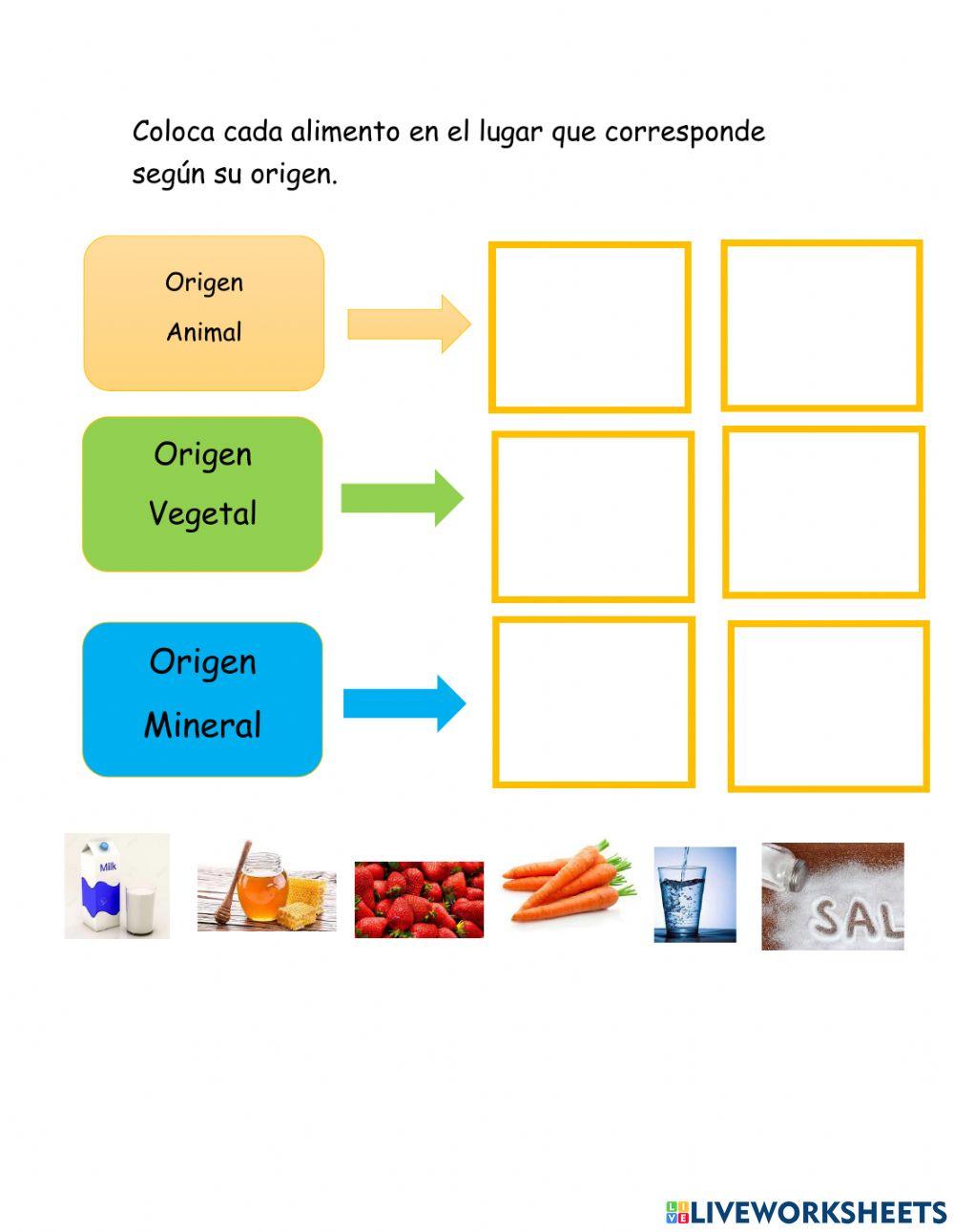 1077036 | Origen de los alimentos | cecy2018