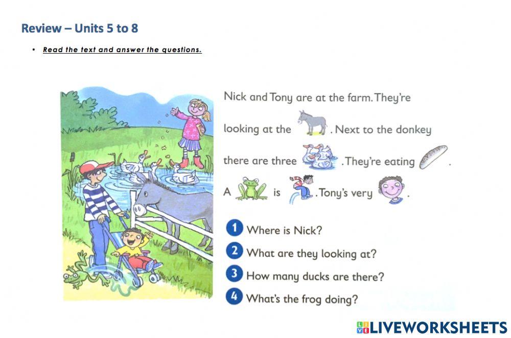 Review - Units 5, 6, 7 & 8 1080893 | lorenac818