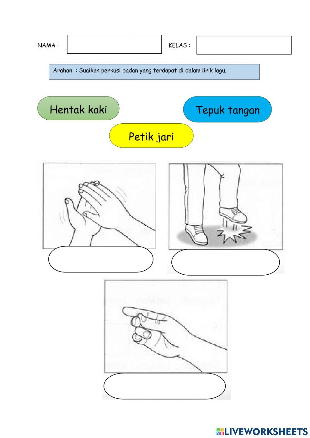 Perkusi badan activity | Live Worksheets