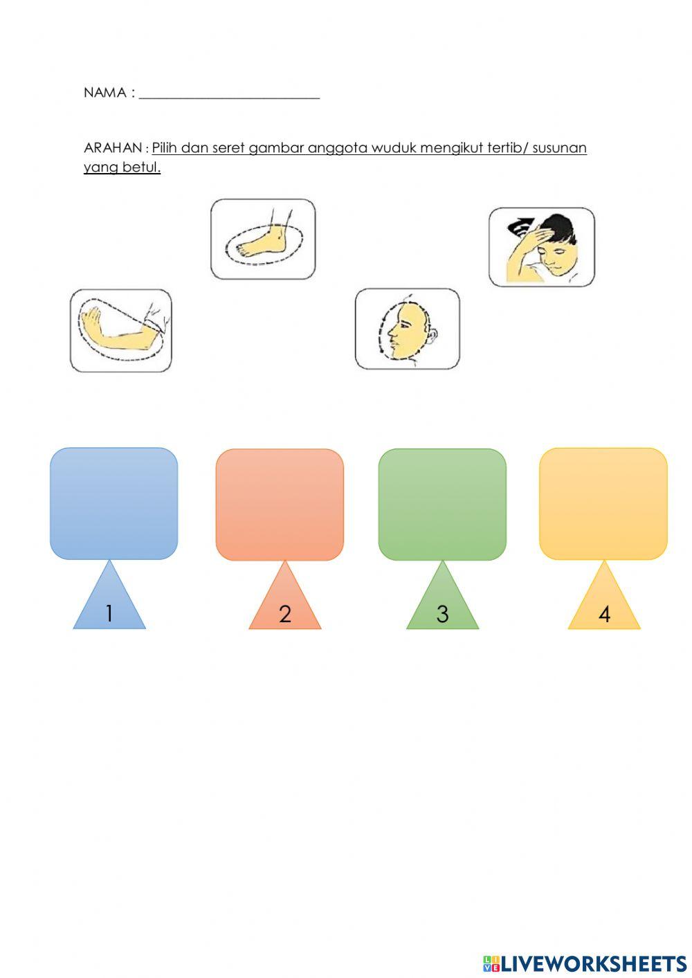 Anggota wuduk | Free Interactive Worksheets | 1081835