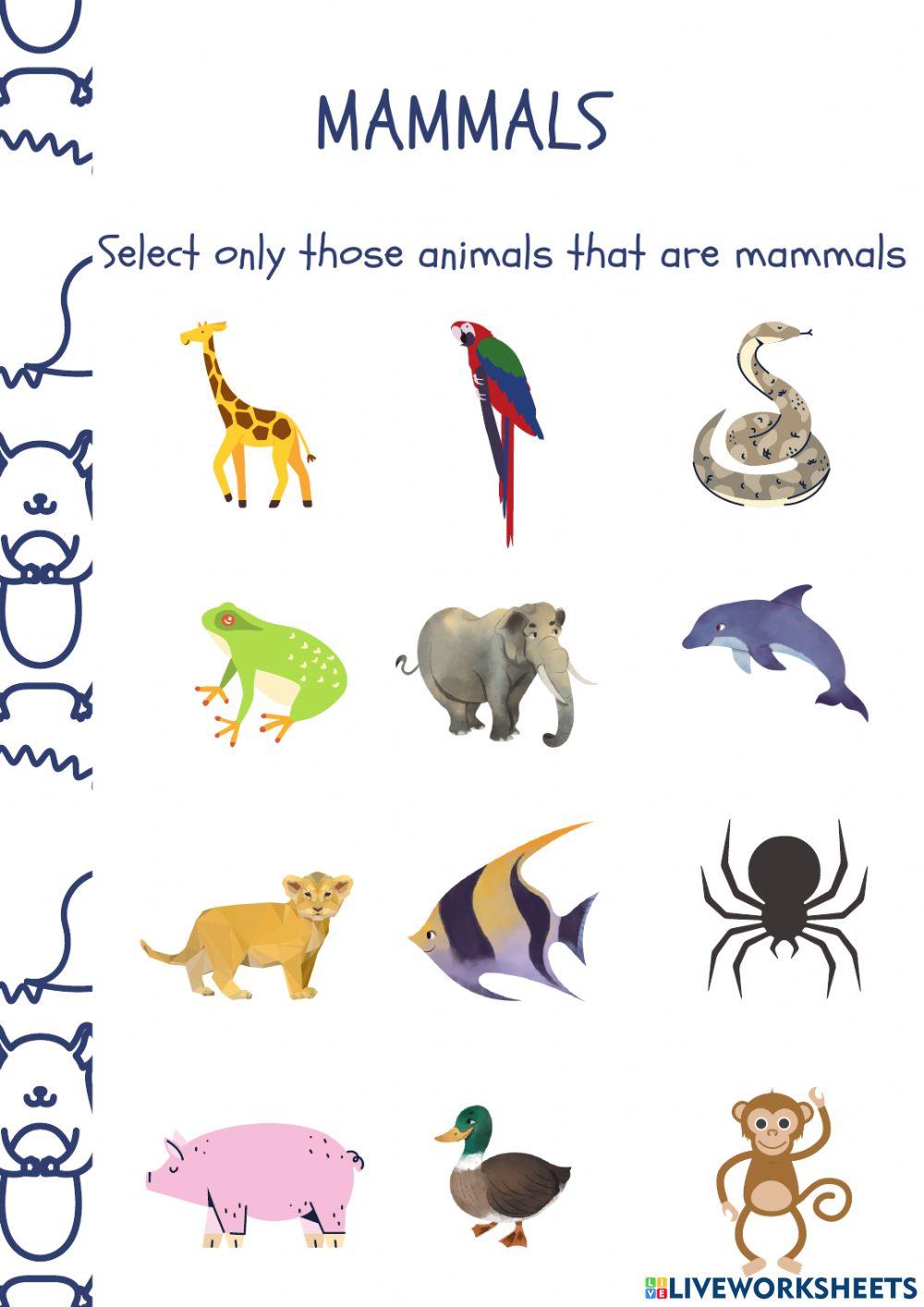 1082090 | Mammals | Crisgoncha | LiveWorksheets