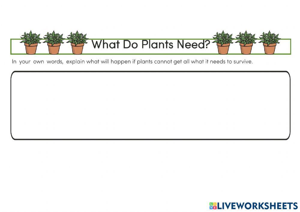PLANTS NEED2 online exercise for | Live Worksheets