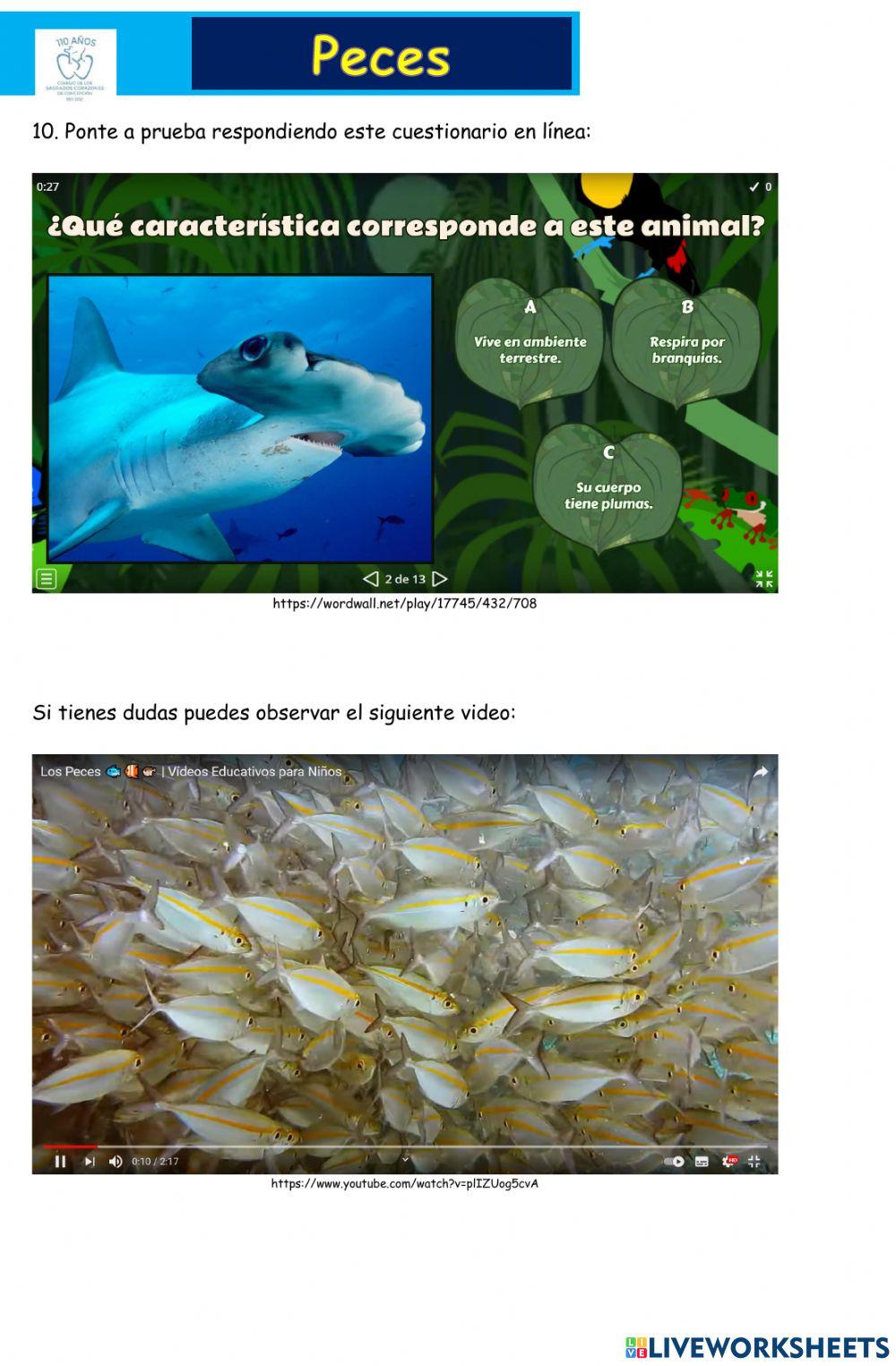 Peces online exercise | Live Worksheets