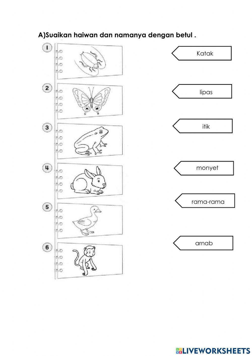 Haiwan (Sains Tahun 1) worksheet | Live Worksheets