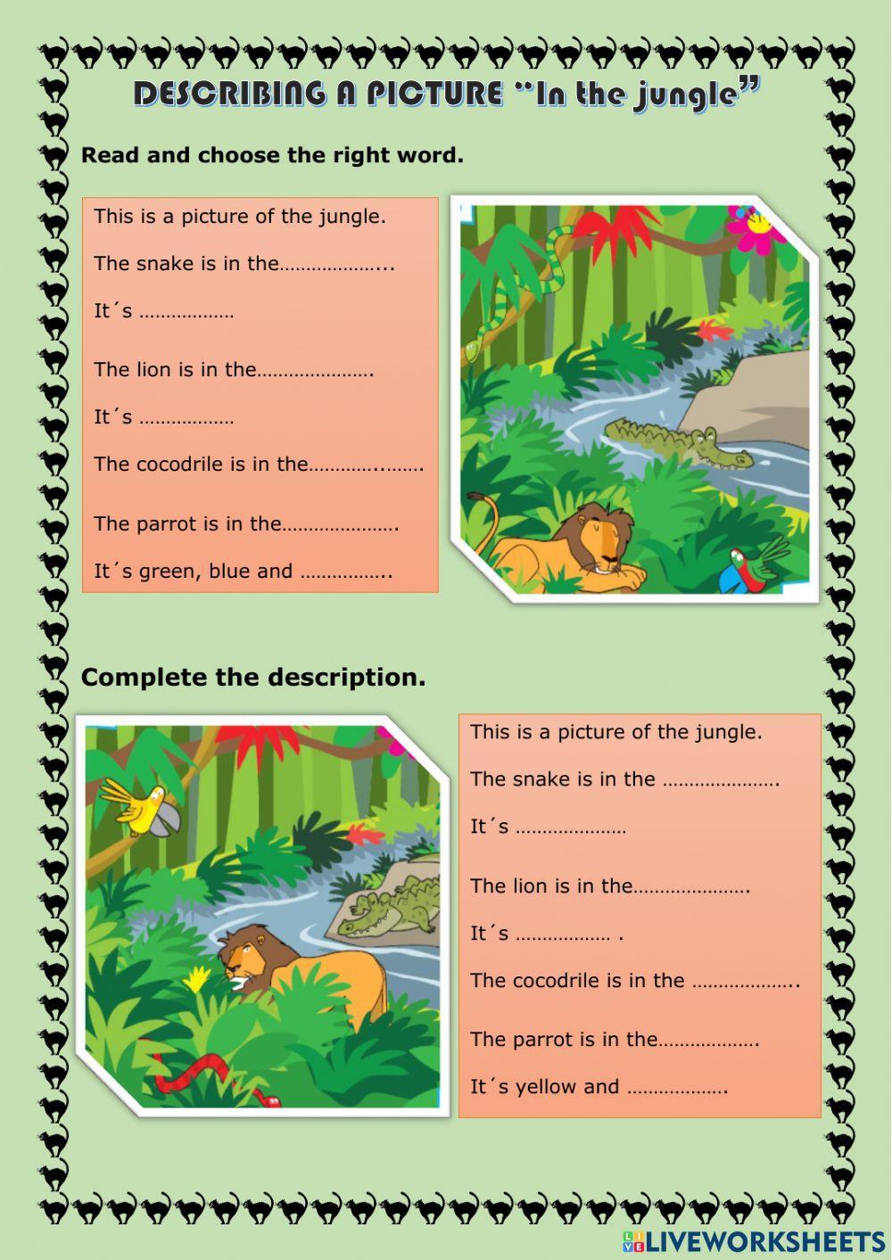 jungle description
