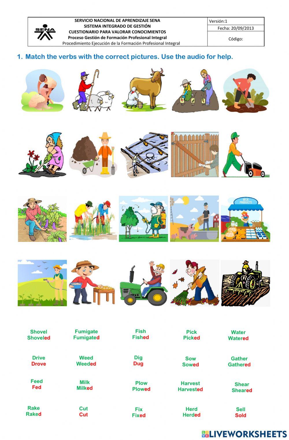 Farming Verbs worksheet | Live Worksheets