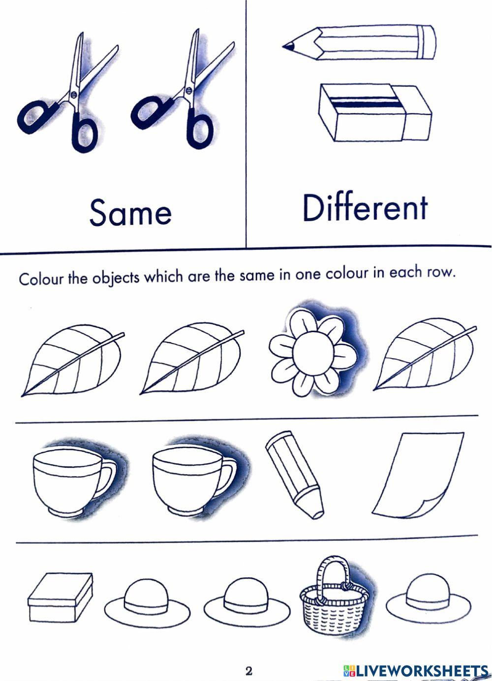 Same and different 5058947