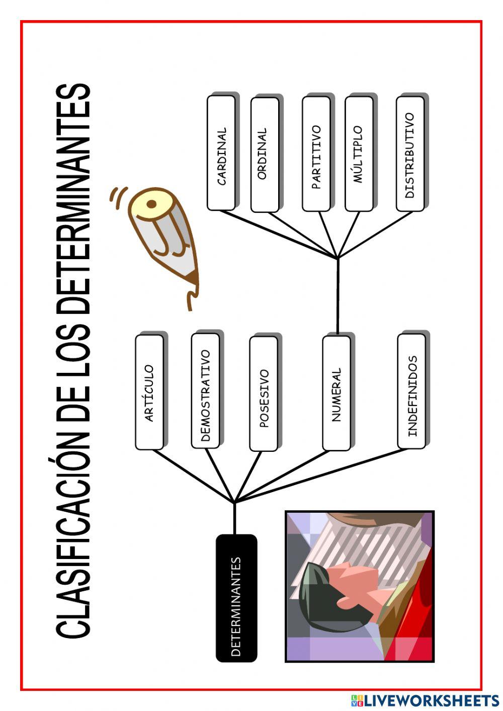 Determinantes worksheet for 5 grado | Live Worksheets