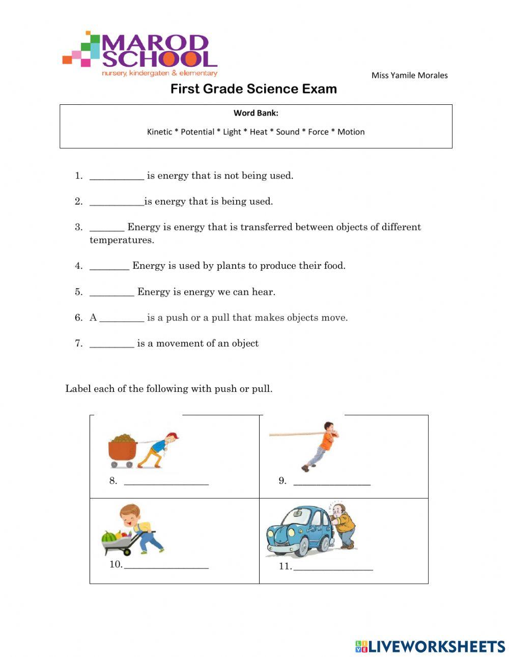 1088523 | Science Exam | Yamile Morales | LiveWorksheets