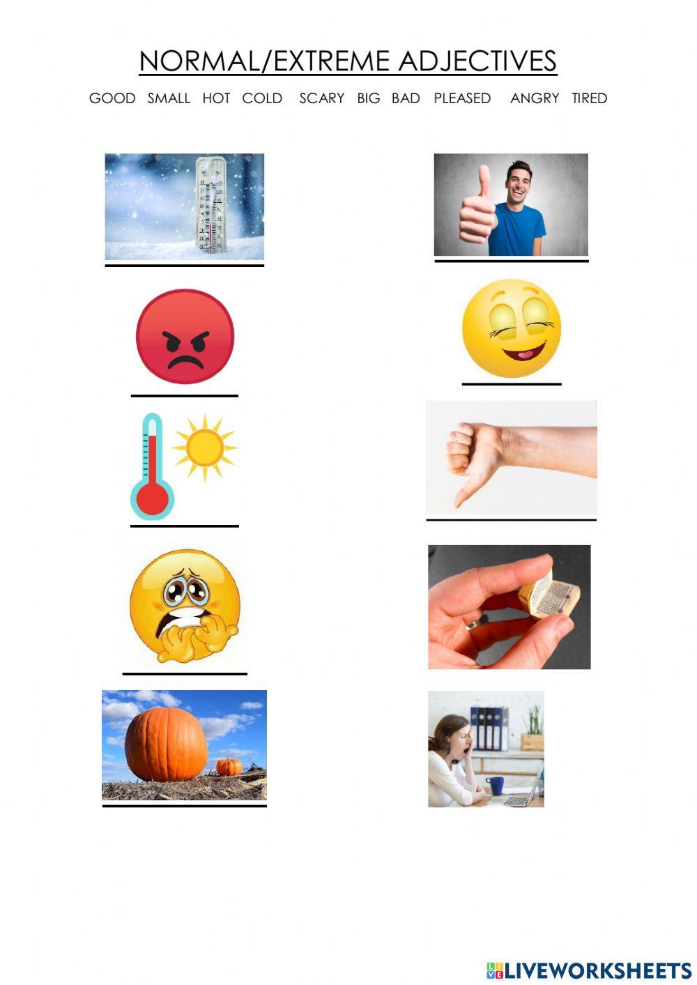 Adjectives online exercise for 5th | Live Worksheets