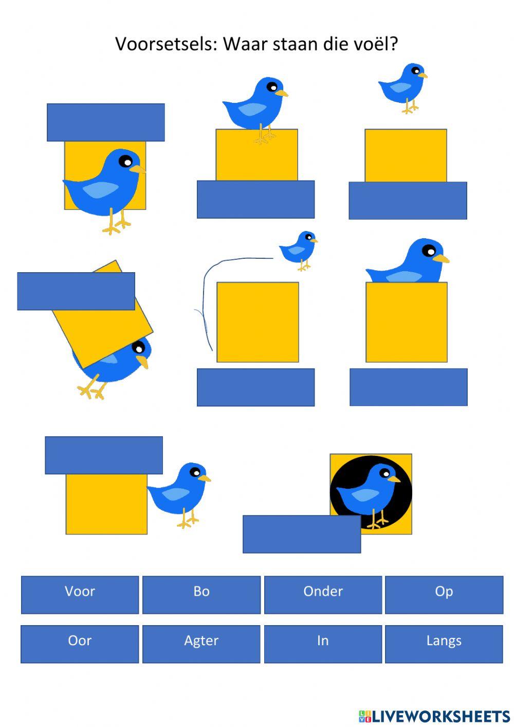 1091729 | Voorsetsels | Wihanli | LiveWorksheets