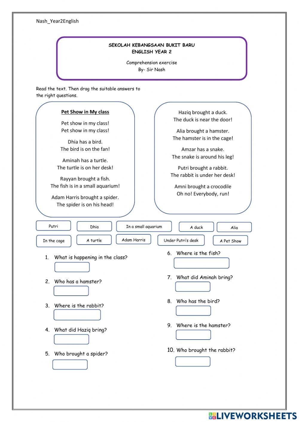 Comprehension exercise: Pets worksheet | Live Worksheets