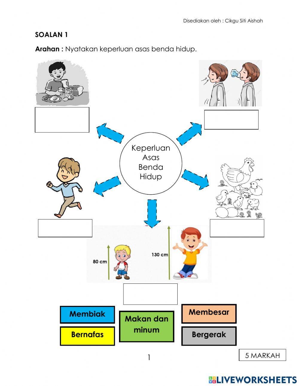 Sains tahun 1 online pdf activity | Live Worksheets