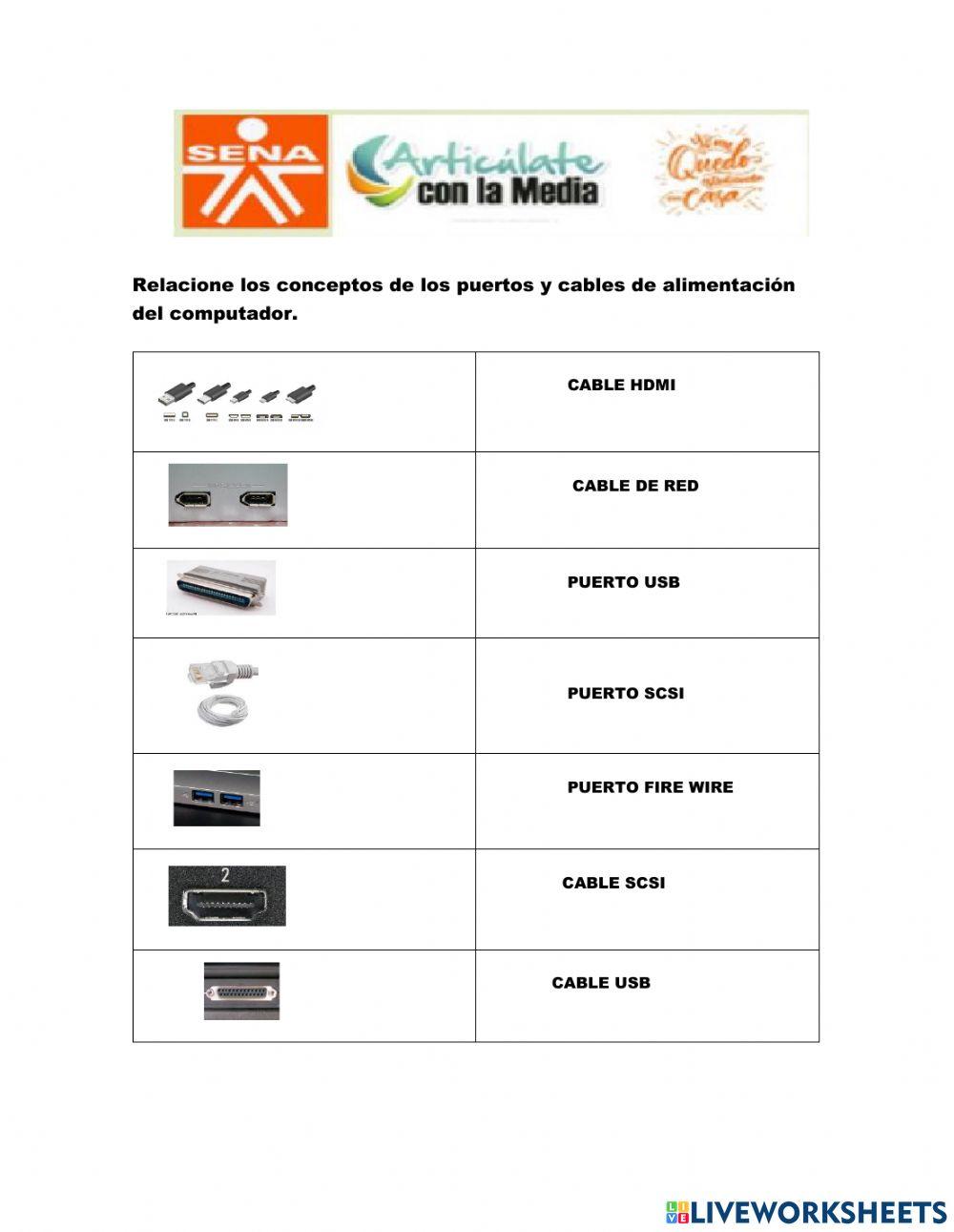 Puertos y Cables | Free Interactive Worksheets | 1093425
