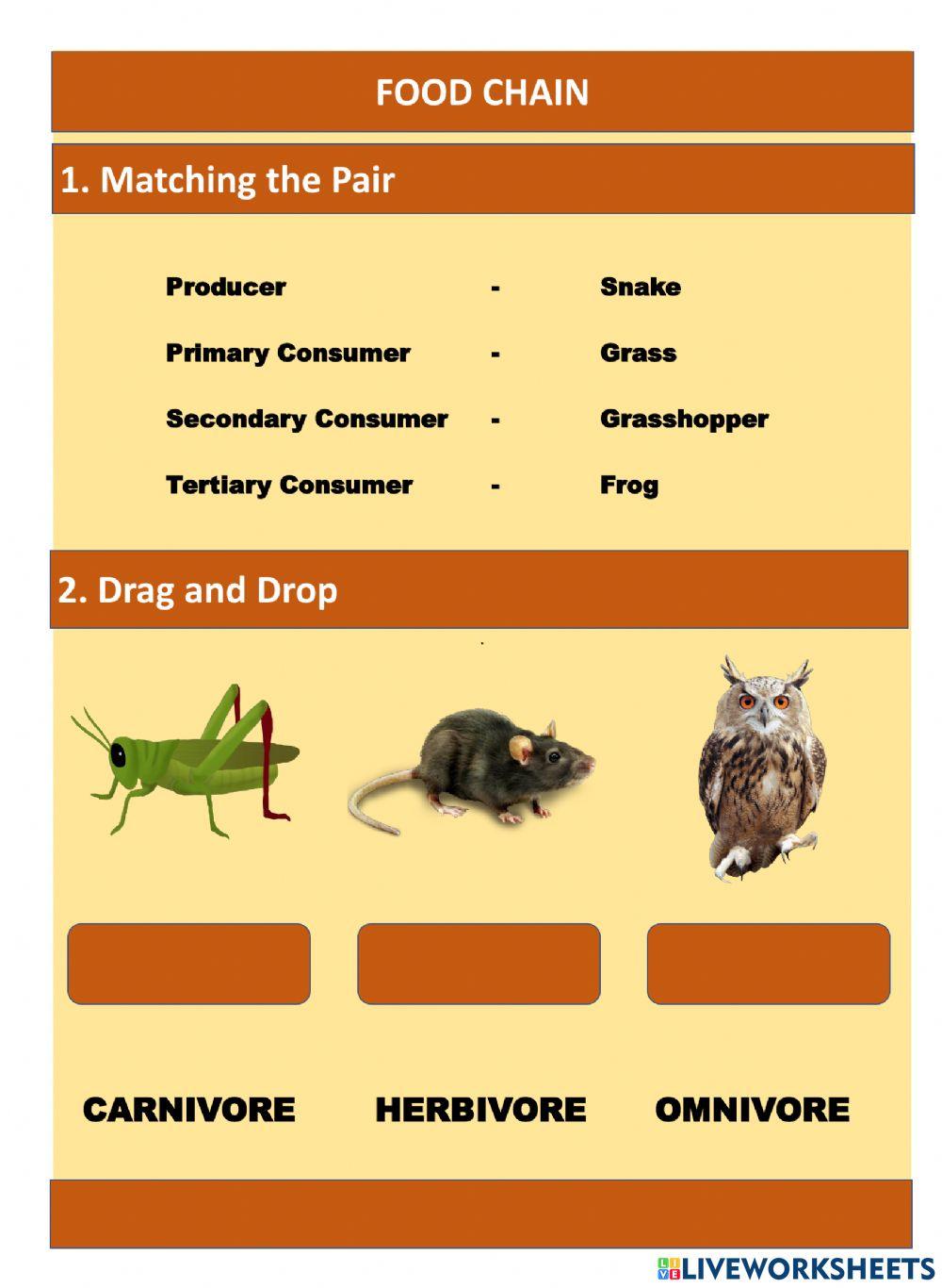 Food Chain - Class 4 3098309 | Vijayalakshmi73