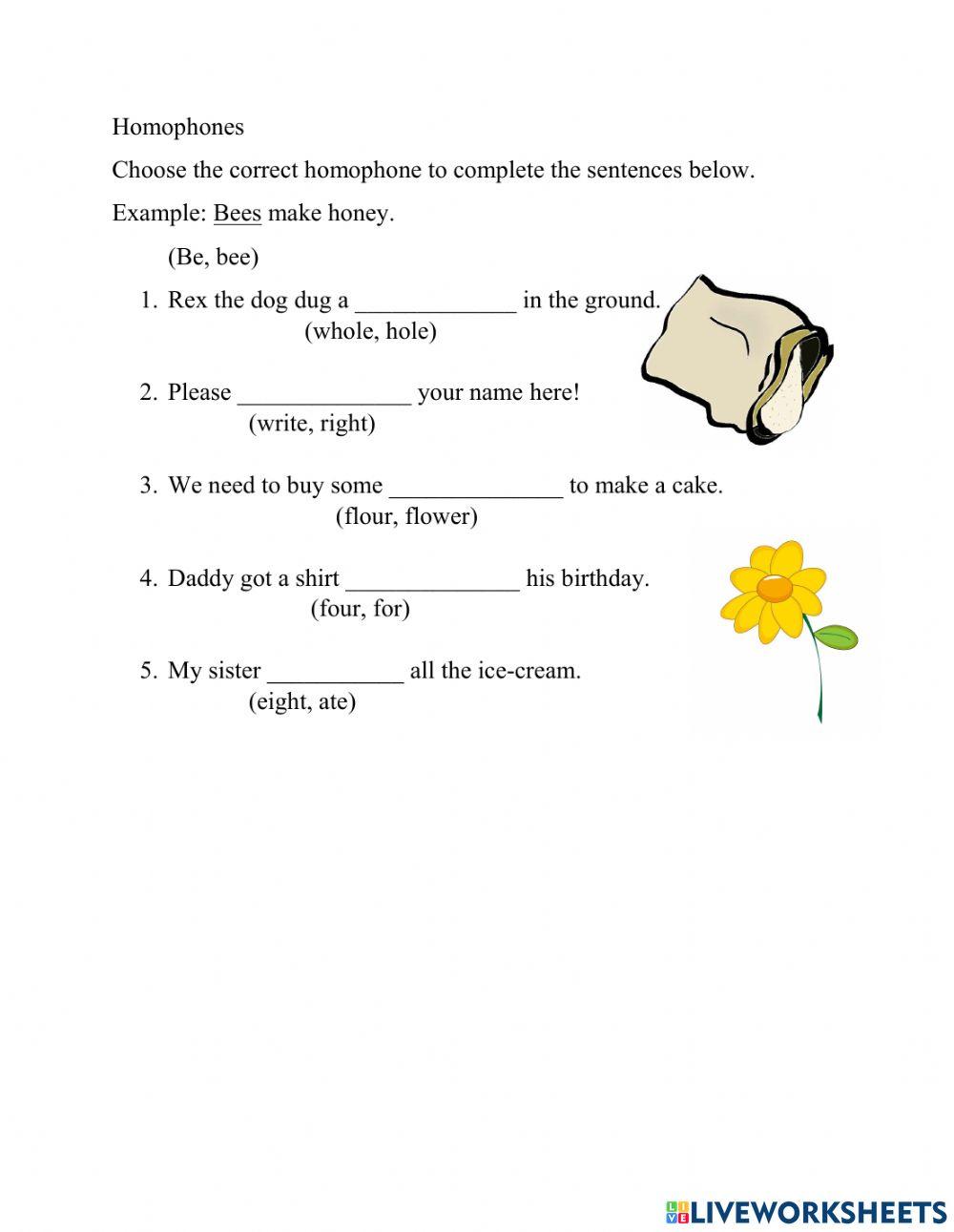 Homophones | Free Interactive Worksheets | 1093674