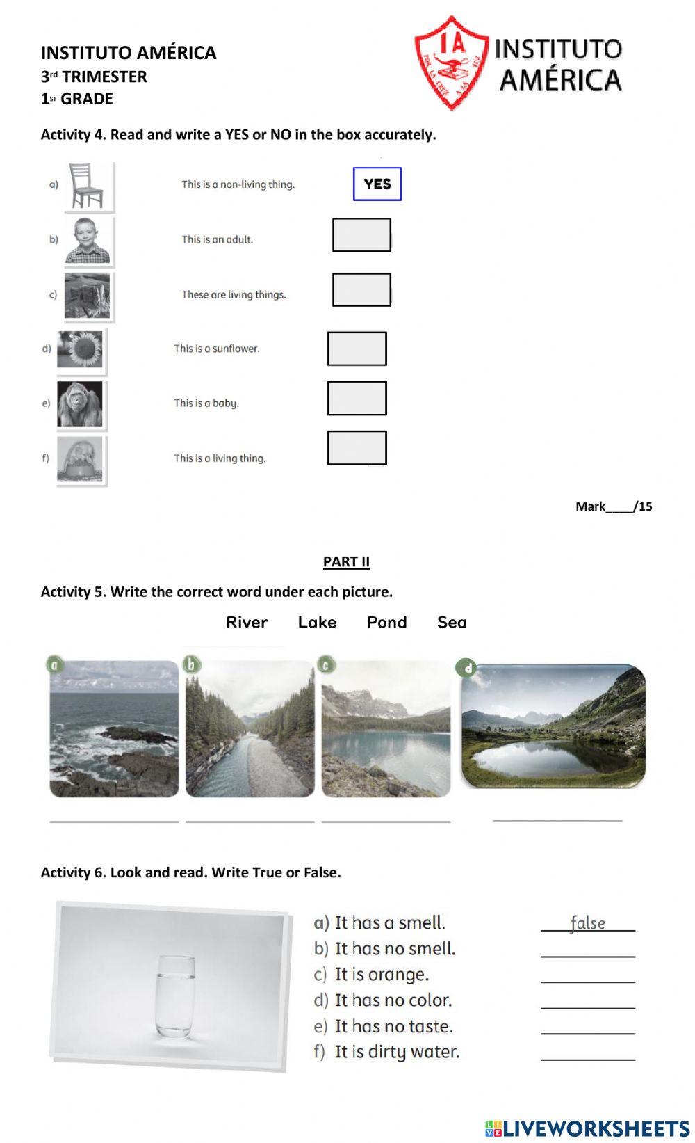 Pdf online worksheet: Science exam | Live Worksheets