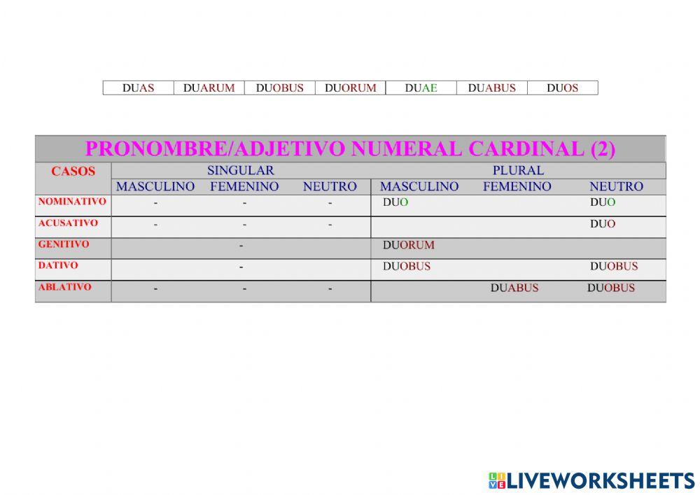 Numeral DUO, DUAE, DUO worksheet | Live Worksheets