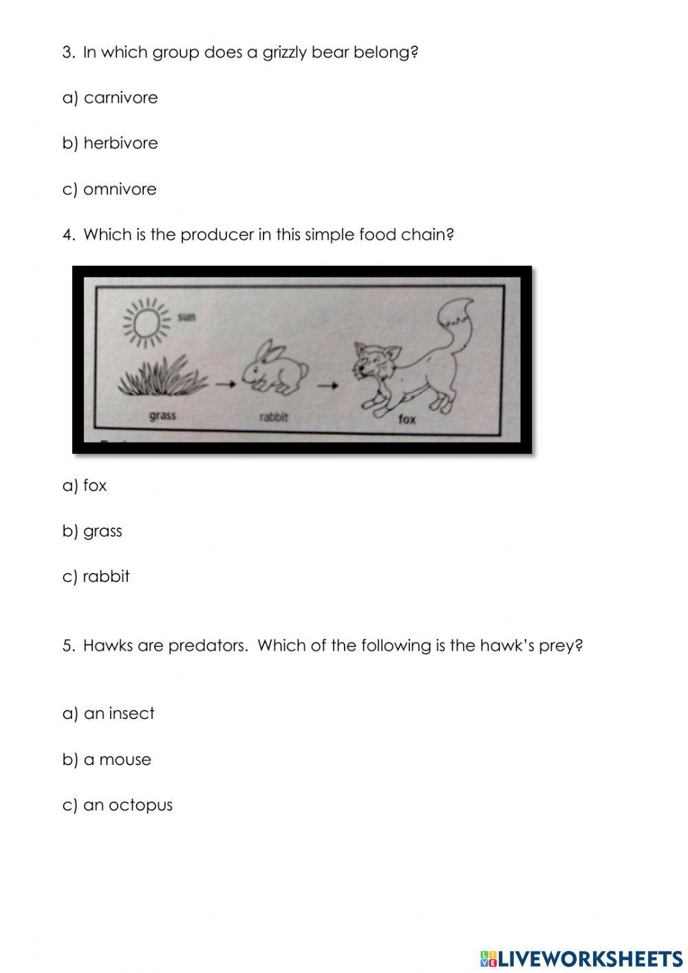 IIBB Science Test worksheet | Live Worksheets