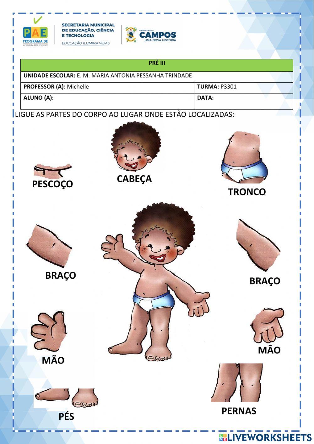 Corpo Humano Interactive Activity For Educação Infantil Live Worksheets