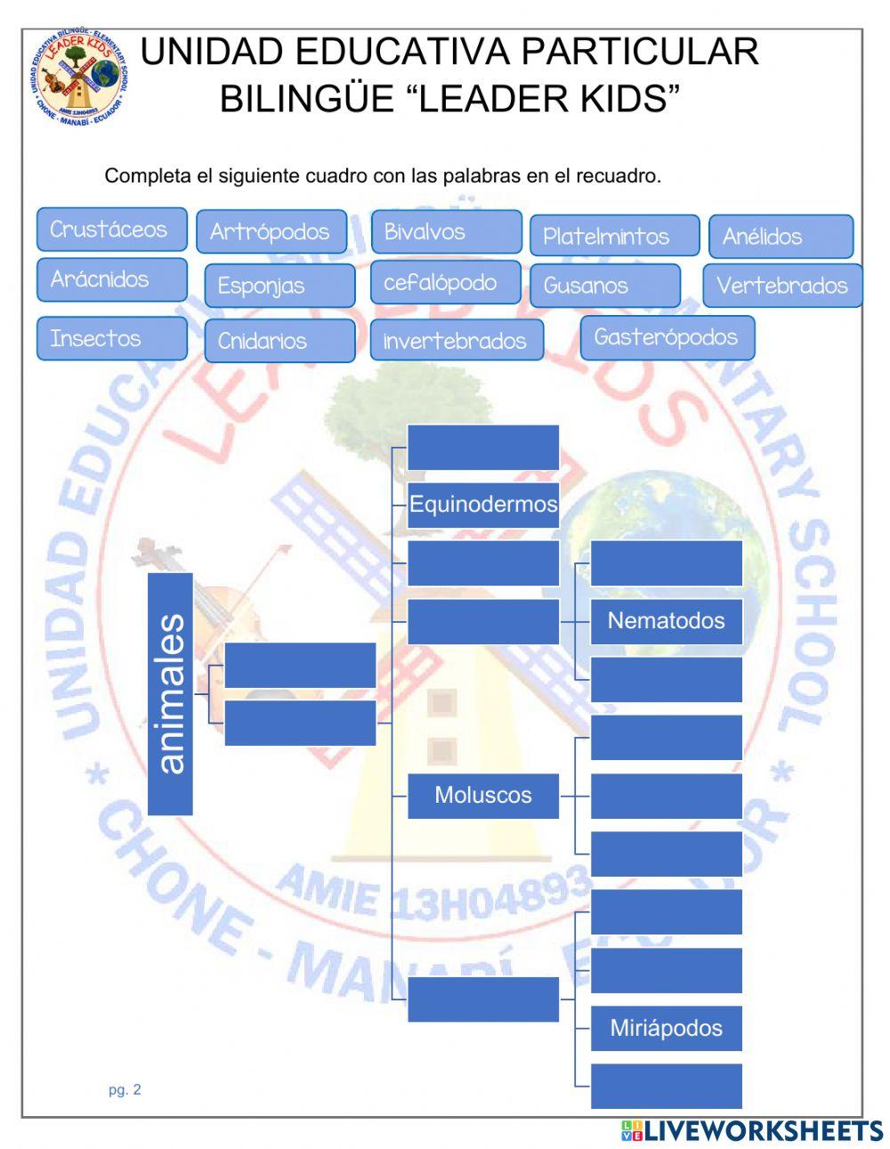 Leader kids activity | Live Worksheets