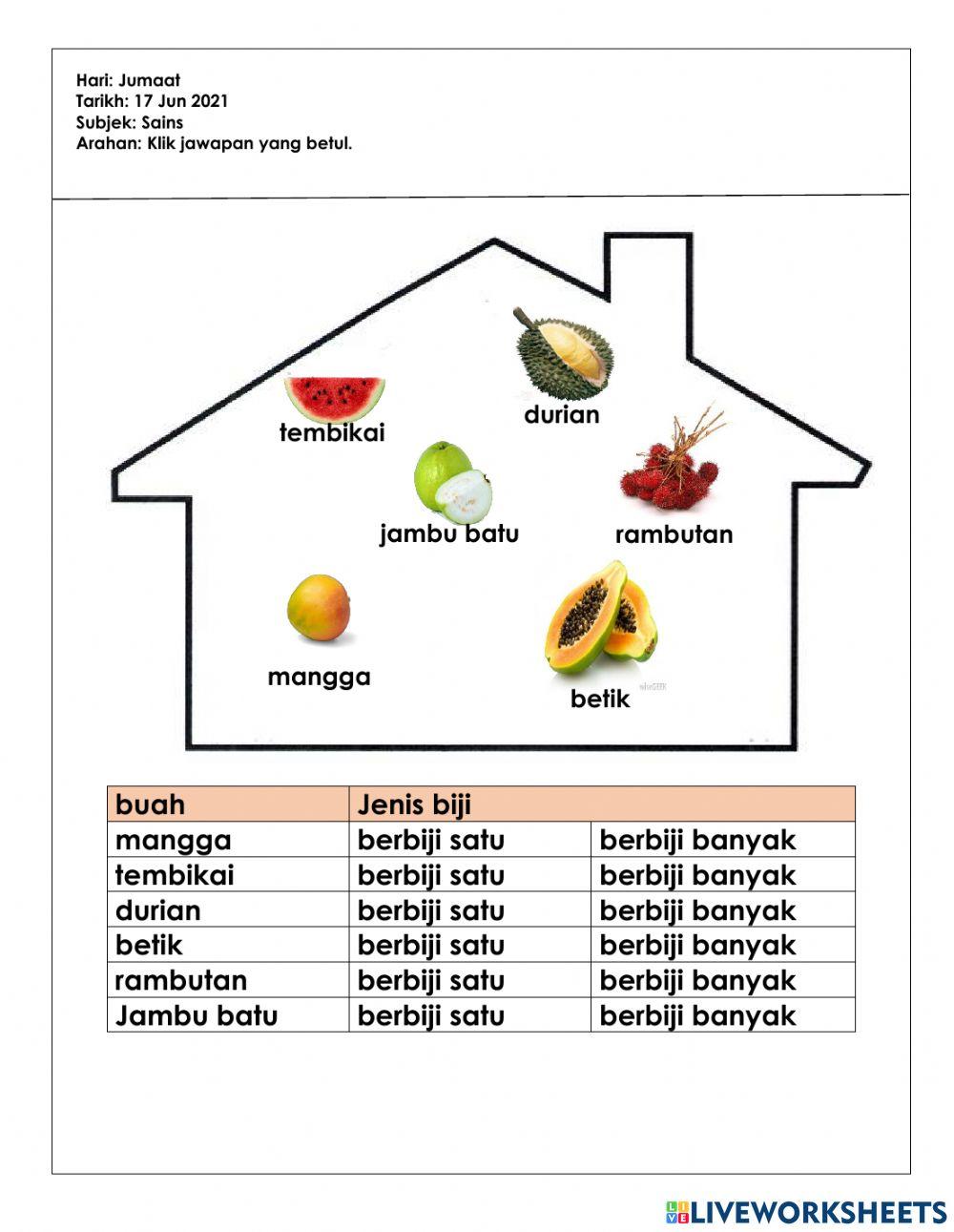 Pkp tugasan mate sains 6y worksheet | Live Worksheets