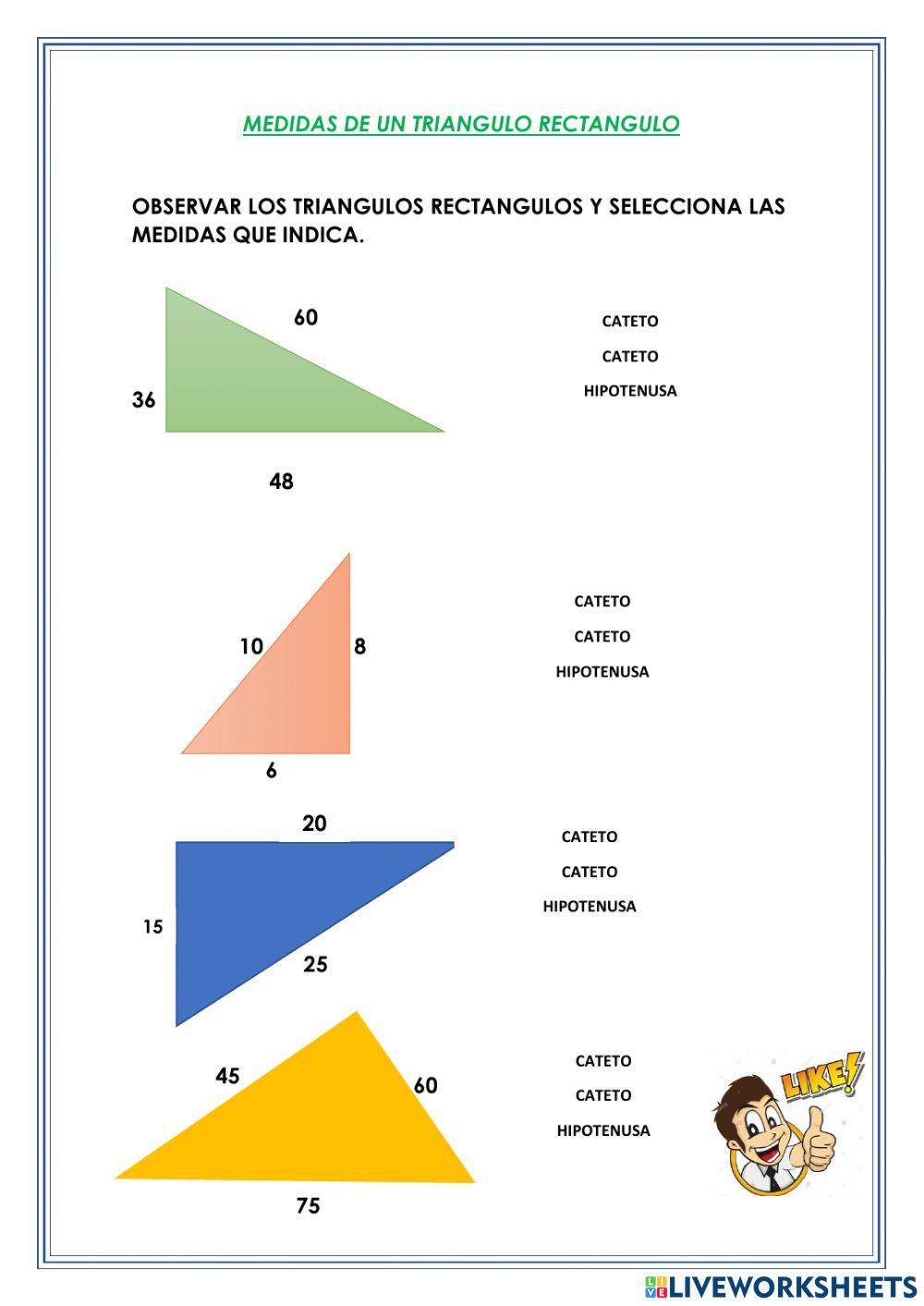 Triangulos Rectangulos | Live Worksheets