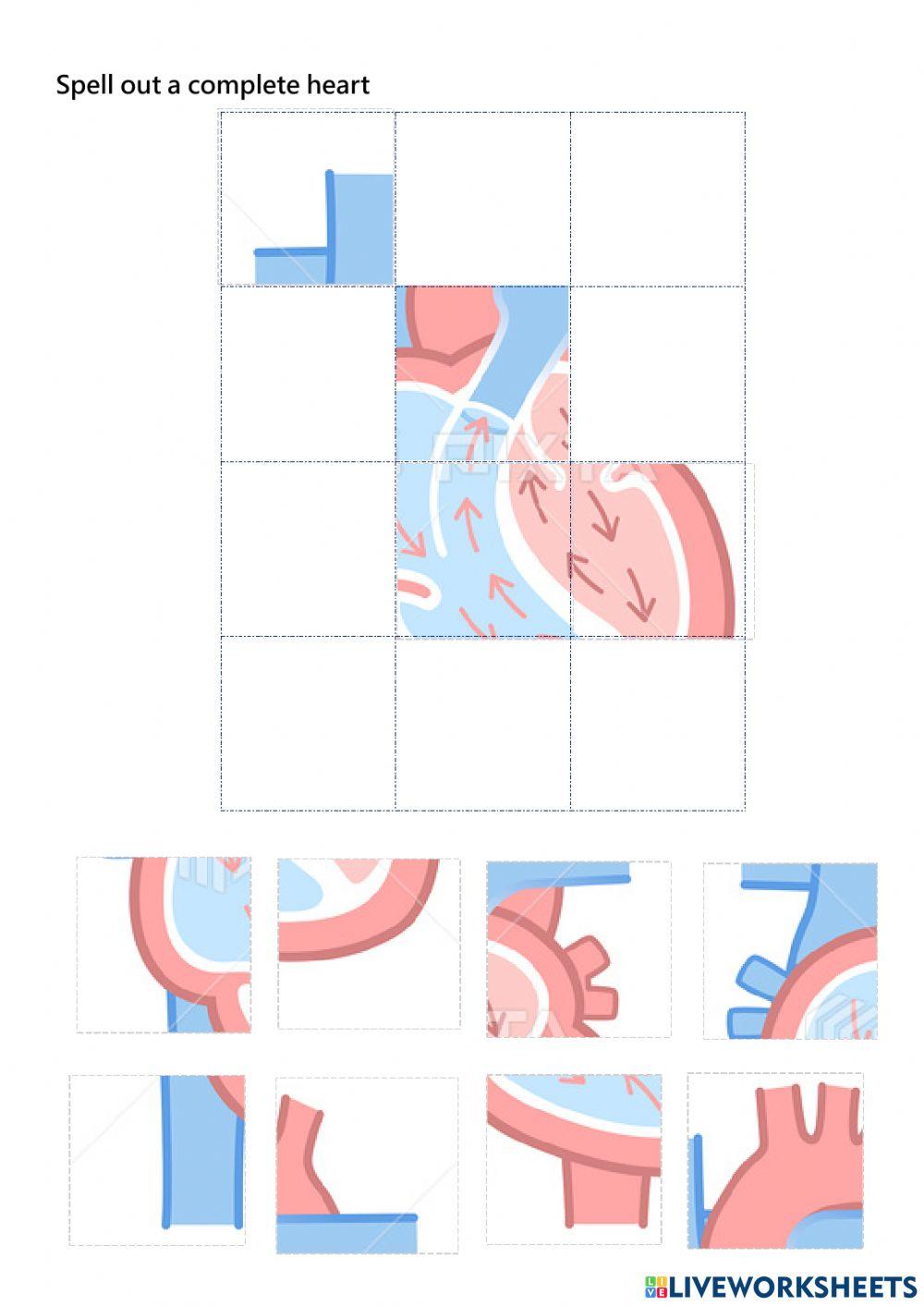 1098578 | Heart | 蔡怡寧 | LiveWorksheets