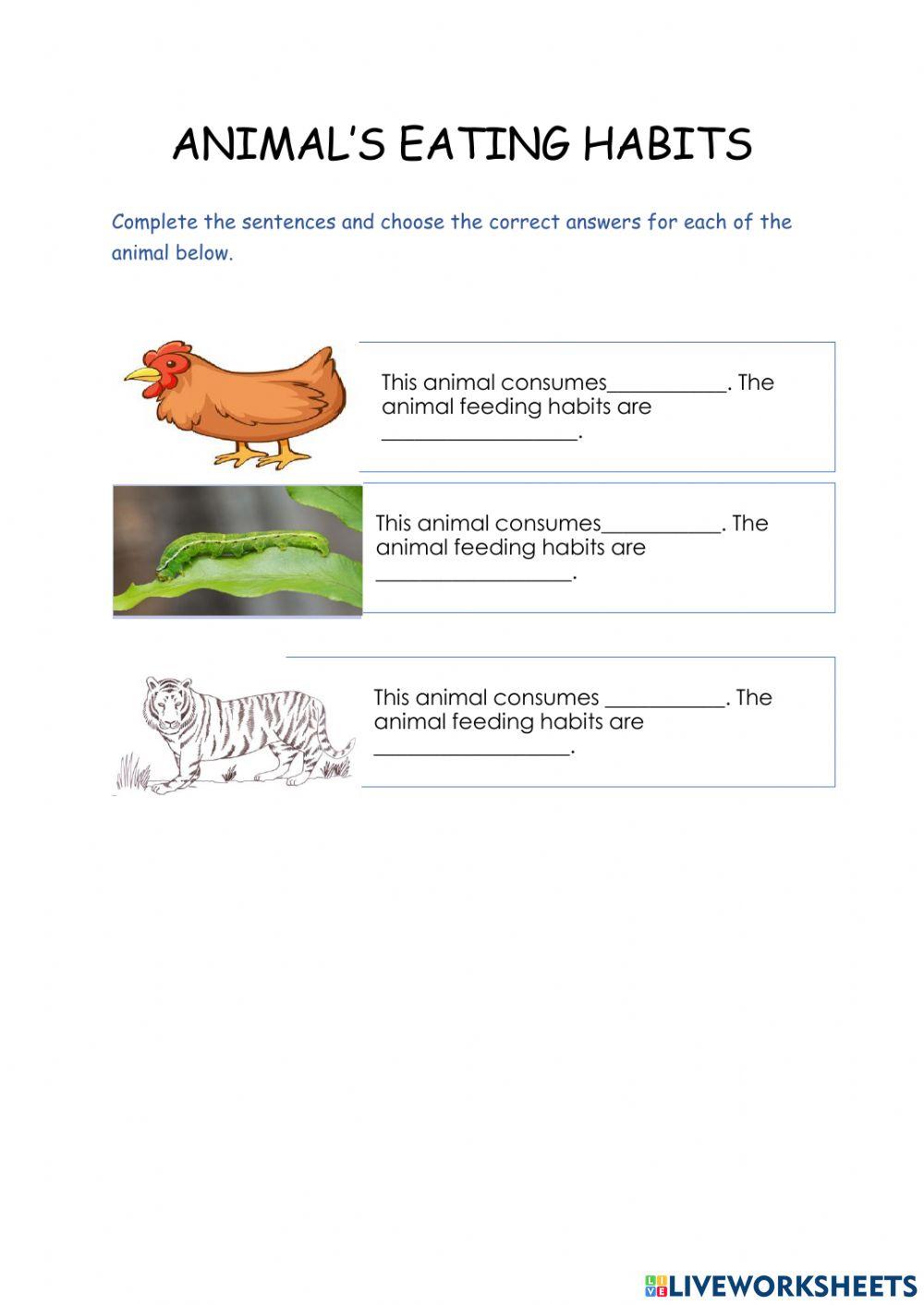 Animal exercise for year 3 | Live Worksheets