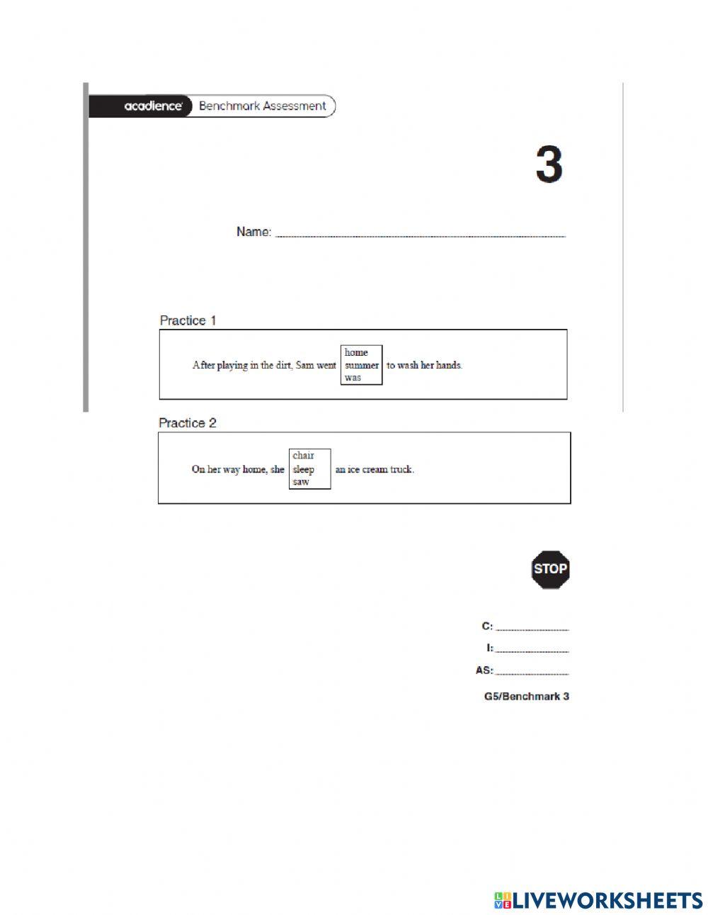 1054225 | Acadience Online Y5 | Jessica_saayman