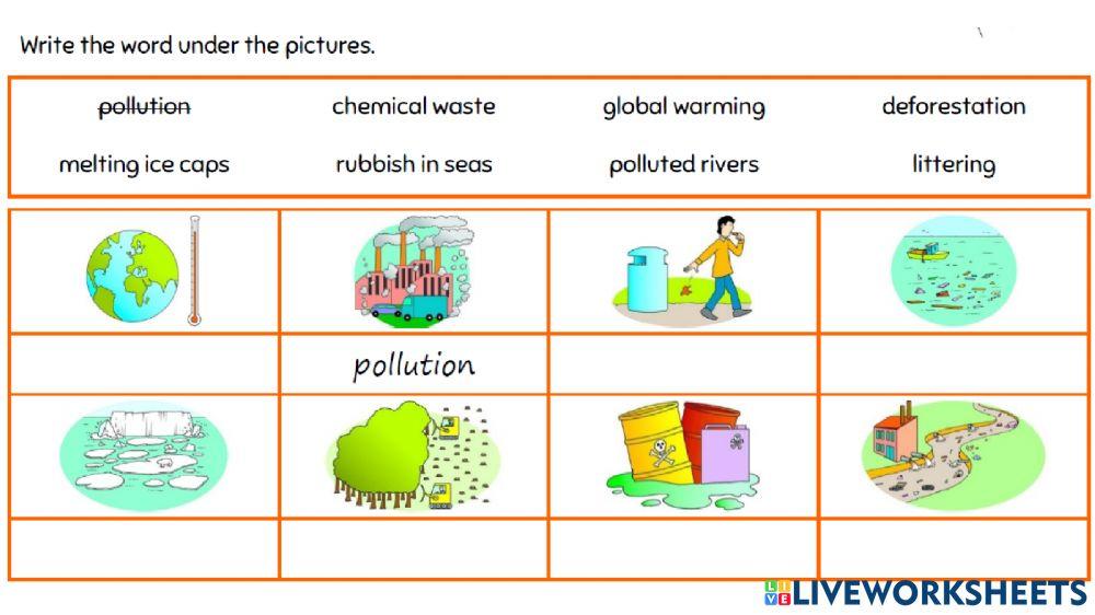 Environment online activity for 5º e 6º anos | Live Worksheets