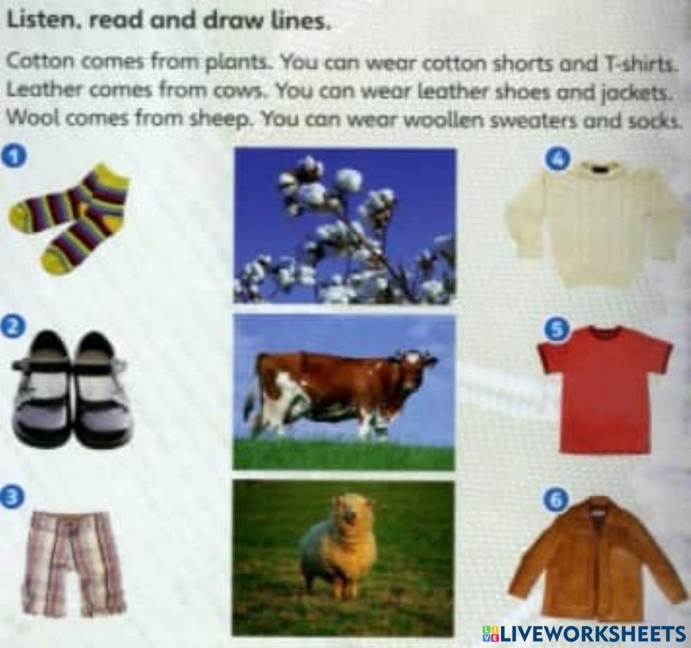 Materials - What are they made of? online exercise for | Live Worksheets