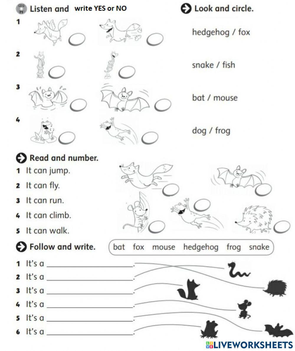 Animals - Unit 4 - First explorers 1104049 | Laura