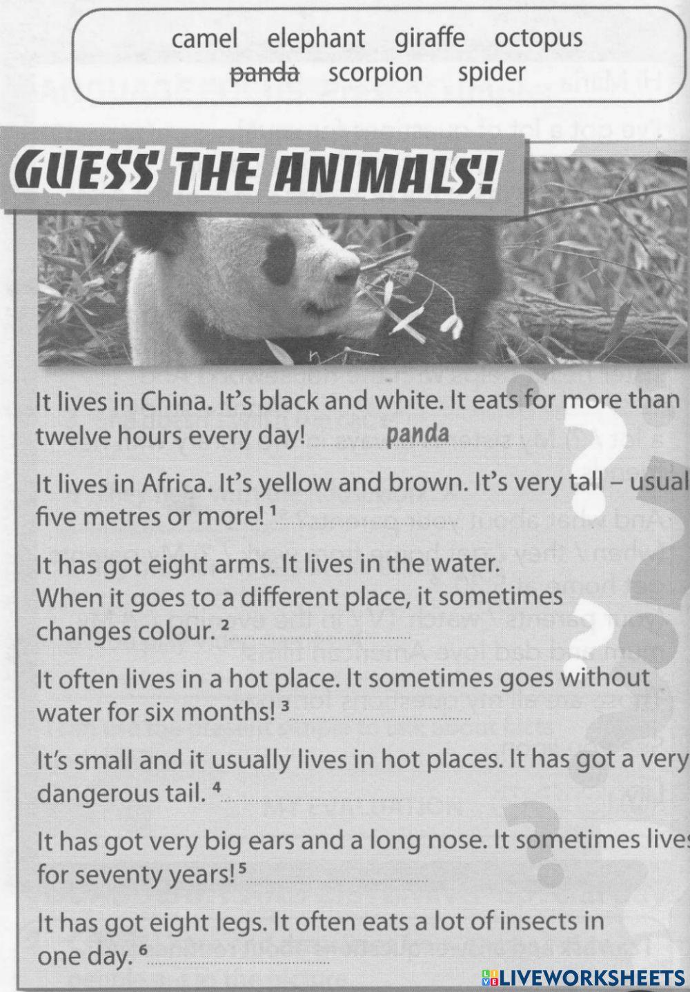 Guess the animals online worksheet | Live Worksheets