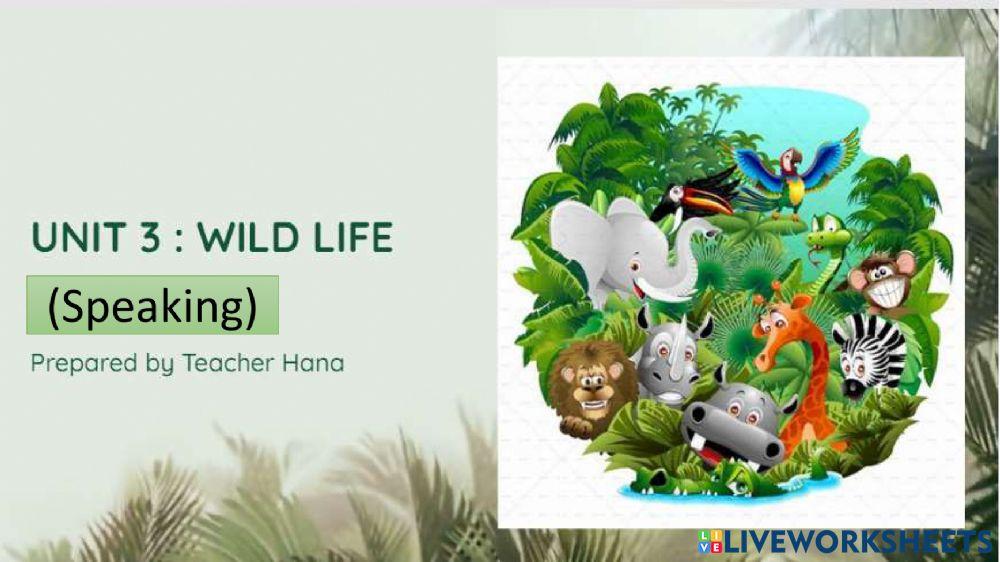 Unit 3: wild life Speaking worksheet | Live Worksheets