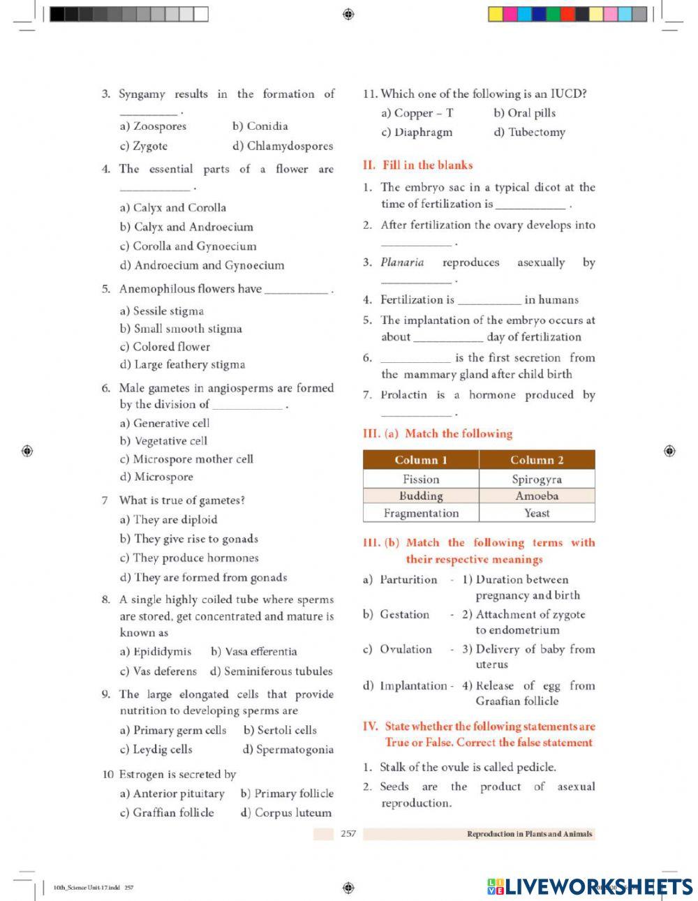 10 sci em l 17 worksheet | Live Worksheets