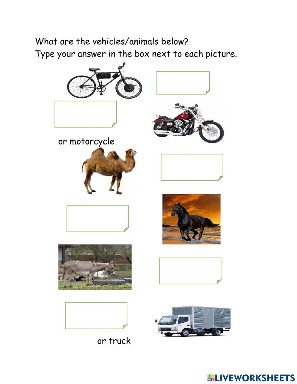 Quiz online exercise for 2 | Live Worksheets