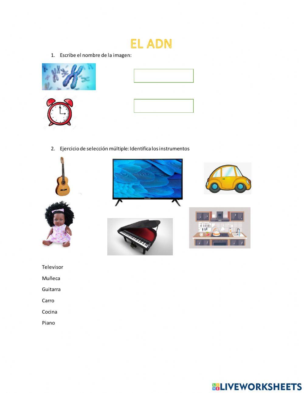 Fichas interactivas interactive activity | Live Worksheets