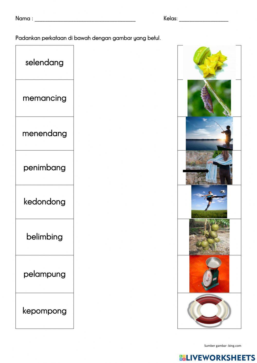 Padankan perkat… | Free Interactive Worksheets | 1107039