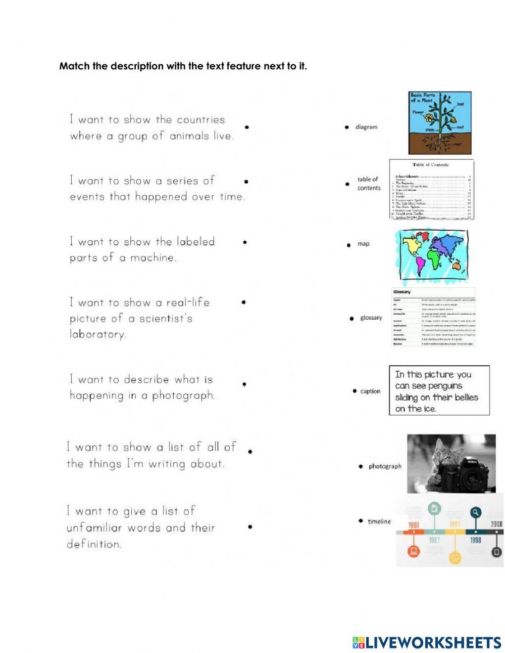 Reading evaluation u5 PIII worksheet | Live Worksheets