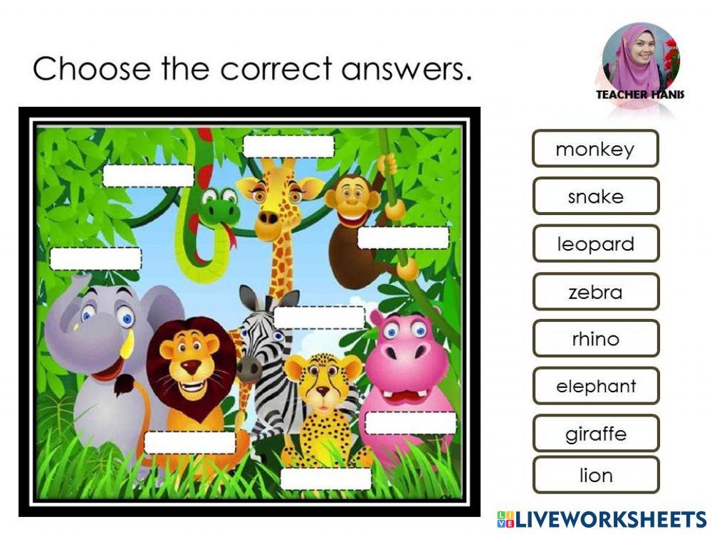 Wild Animals | Free Interactive Worksheets | 1107241