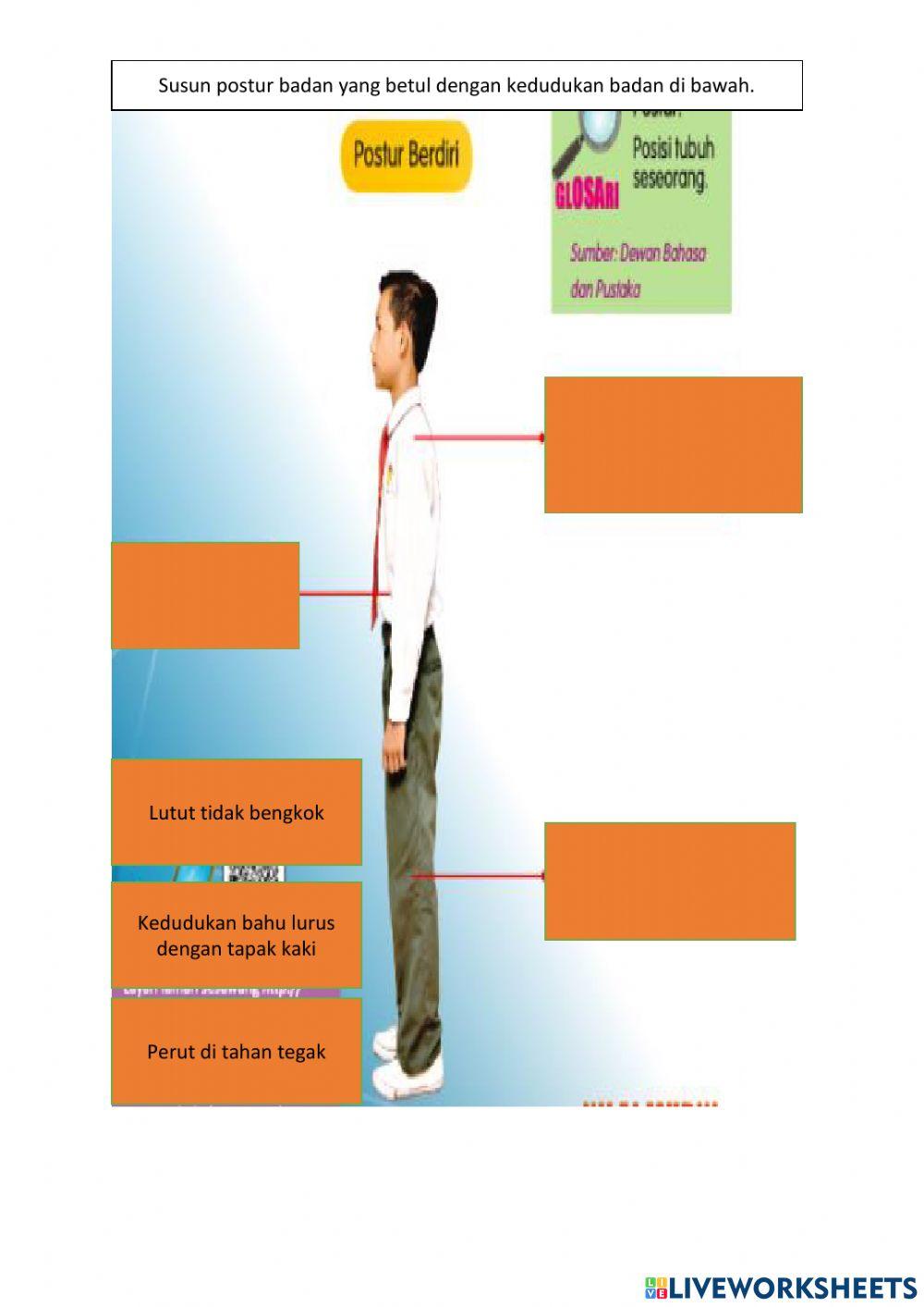 Postur badan | Free Interactive Worksheets | 1108070