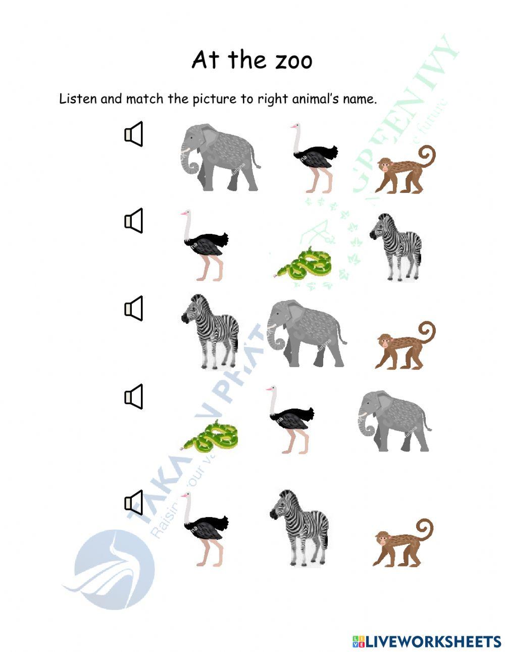 At the zoo 1108391 | takaanphat01 | LiveWorksheets