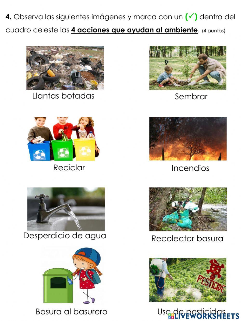 I prueba de cie… | Free Interactive Worksheets | 6637143