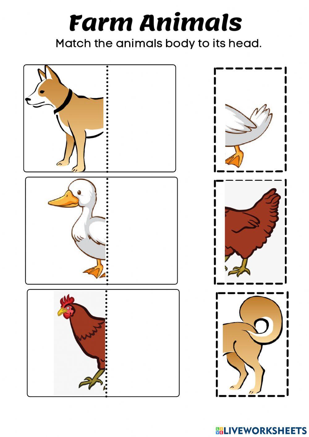 Farm Animals - Match Body to its Head online exercise for | Live Worksheets