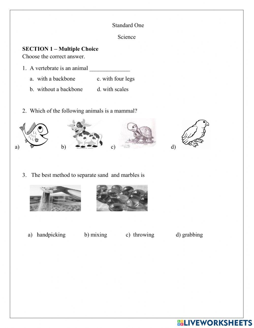 Science 1111237 | Mr_Holder1 | Live Worksheets