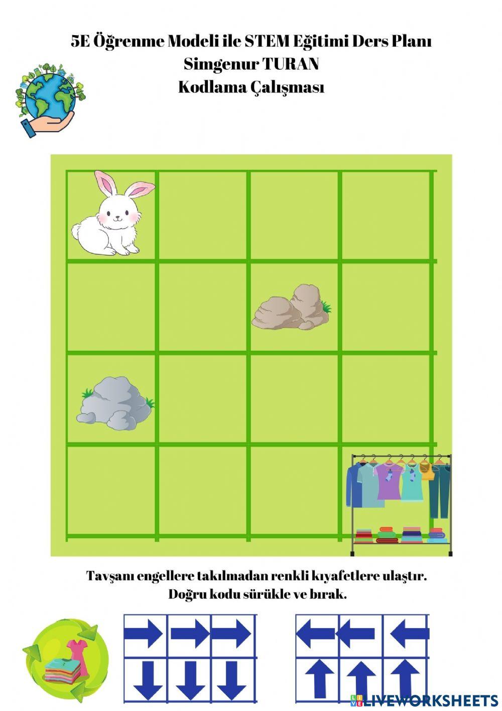 5e stem plani si̇mgenur turan worksheet | Live Worksheets